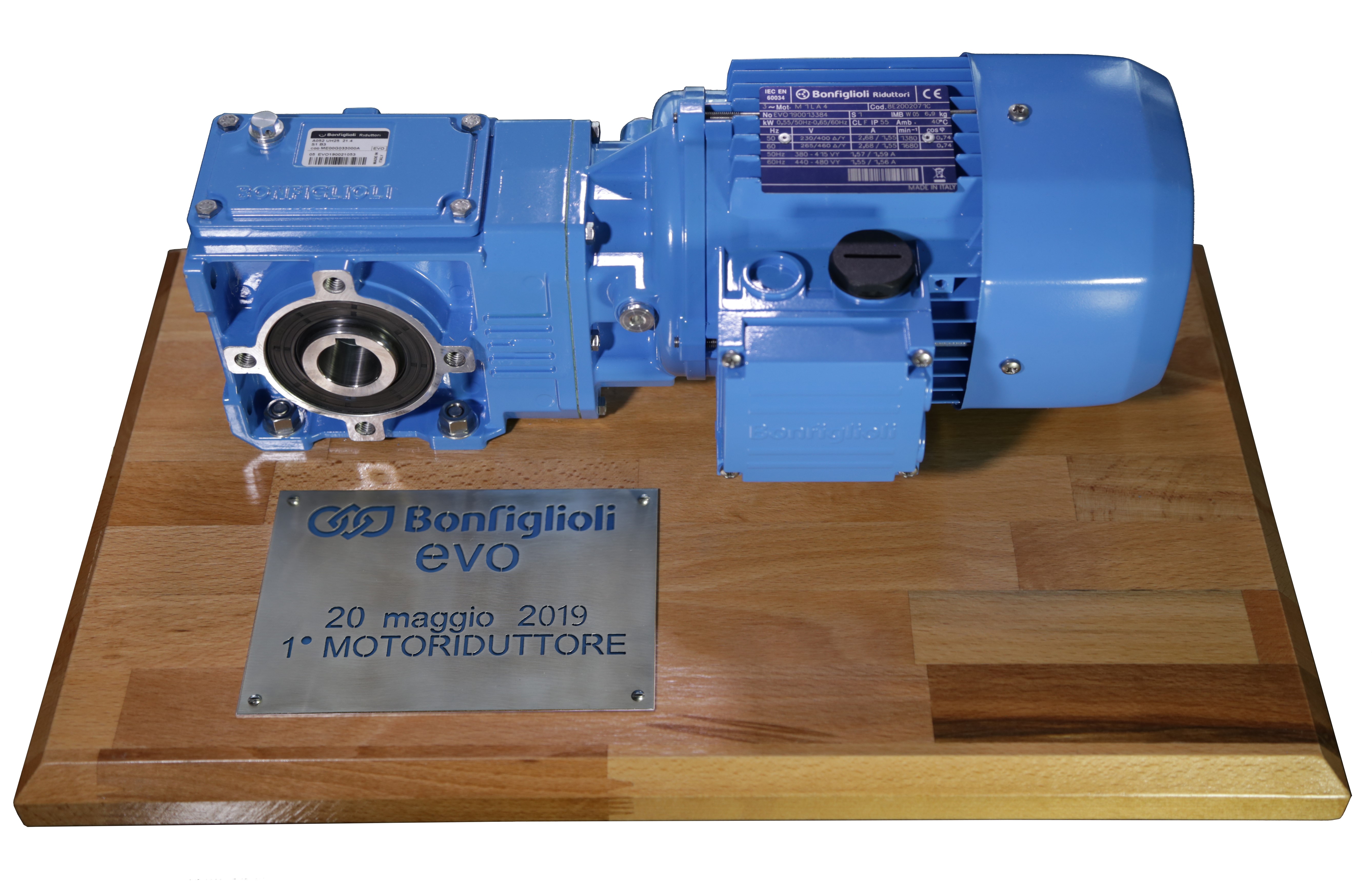 Bonfiglioli New Plants : Bonfiglioli